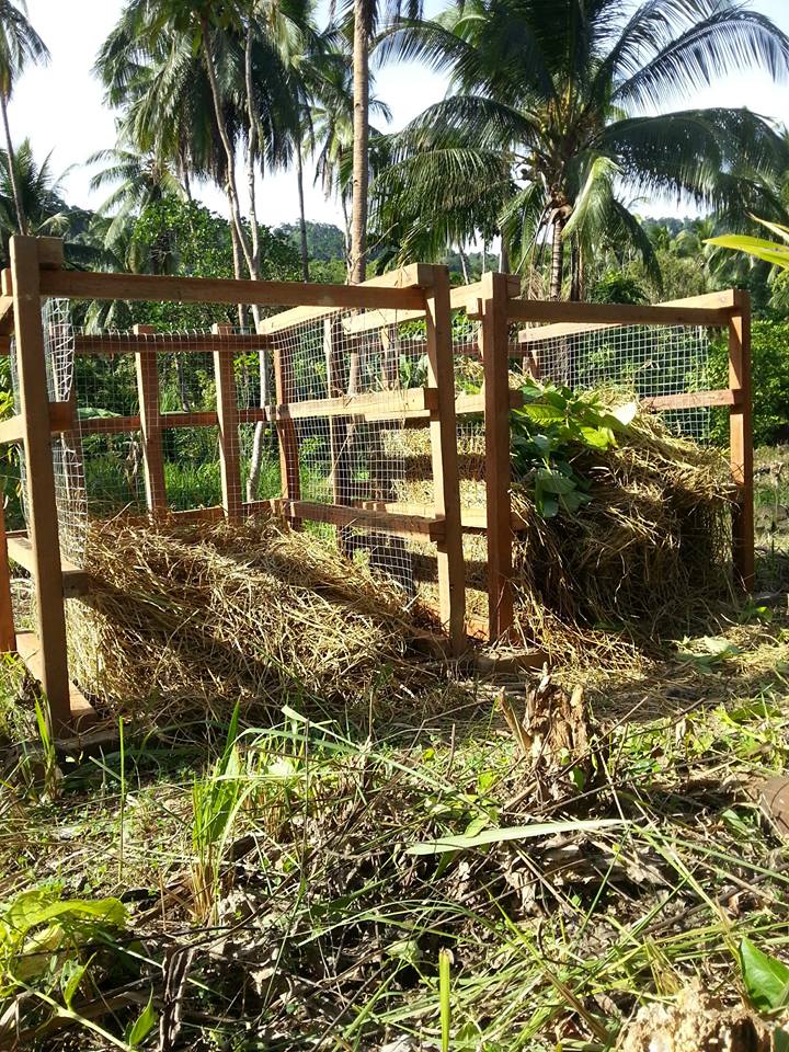 Gallery - Kalawili Permaculture Palawan