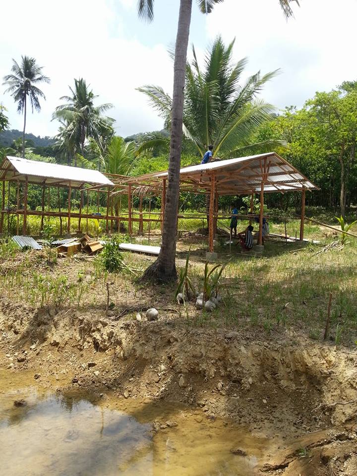 Gallery - Kalawili Permaculture Palawan