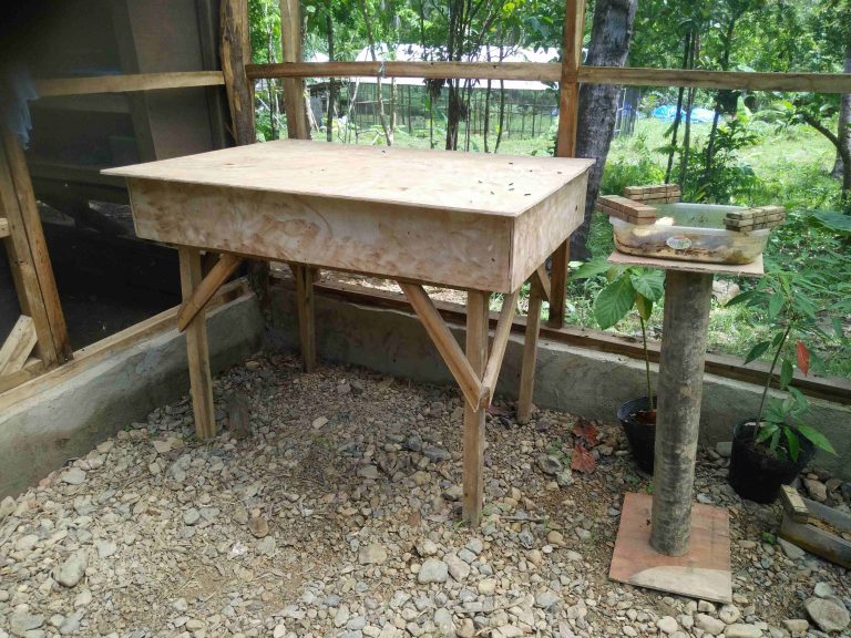 BSF Insectarium, new pupae bin, BSF mating ... - Kalawili Permaculture ...