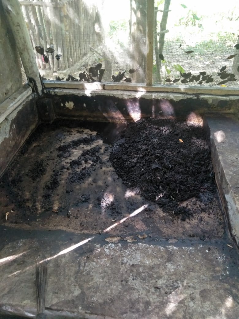 Kalawili Permaculture Palawan - Palawan Permaculture Center