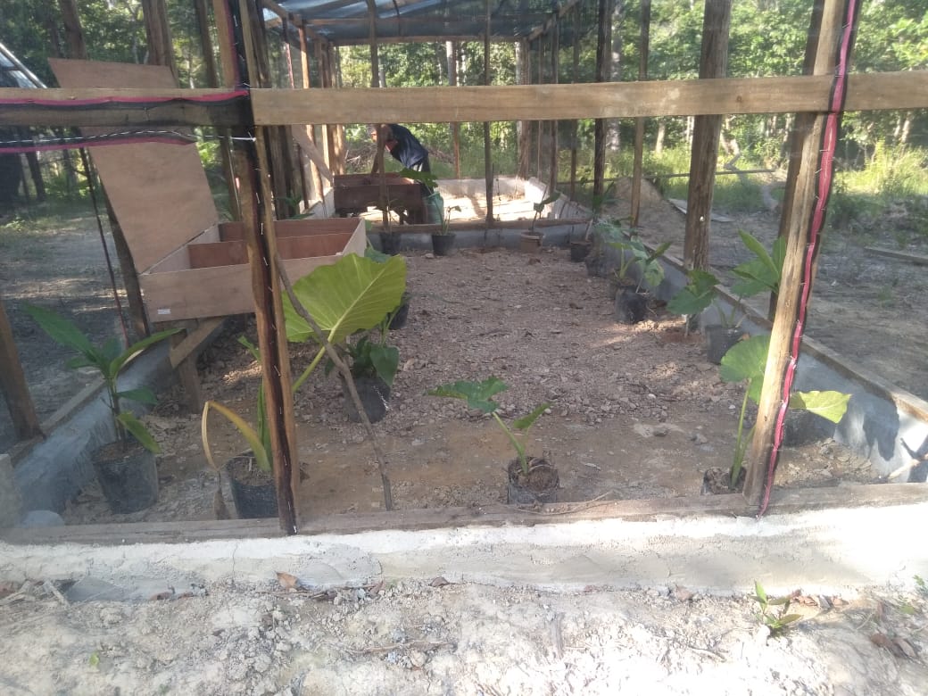 New BSF insectarium completed at Kalawili - Kalawili Permaculture Palawan