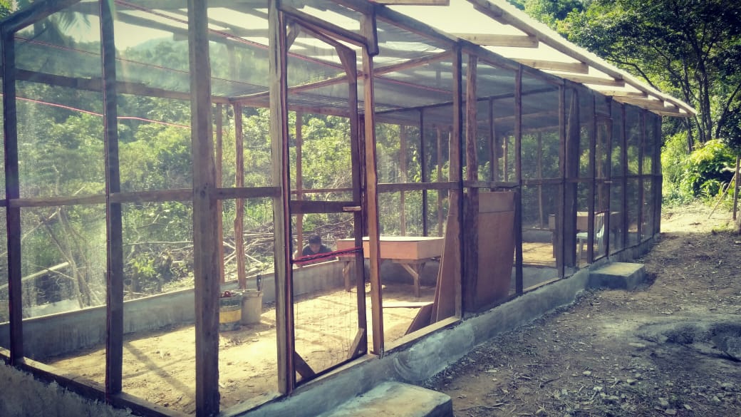 New BSF insectarium completed at Kalawili - Kalawili Permaculture Palawan